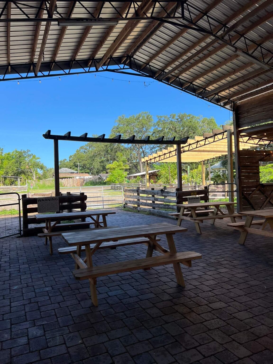 Birthday Parties at the Farm – Hogan's Place Petting Farm